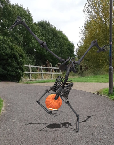 Fresh Air and Fun: Five February Half Term Activities in Milton Keynes ...